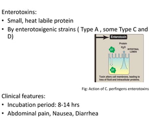 Food poisoning- Microbiology | PPTX