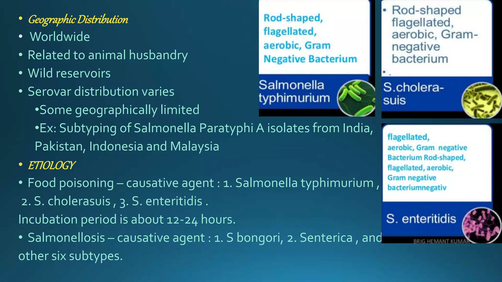 Food poisoning and salmonellosis | PPTX