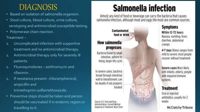 Food poisoning and salmonellosis | PPTX