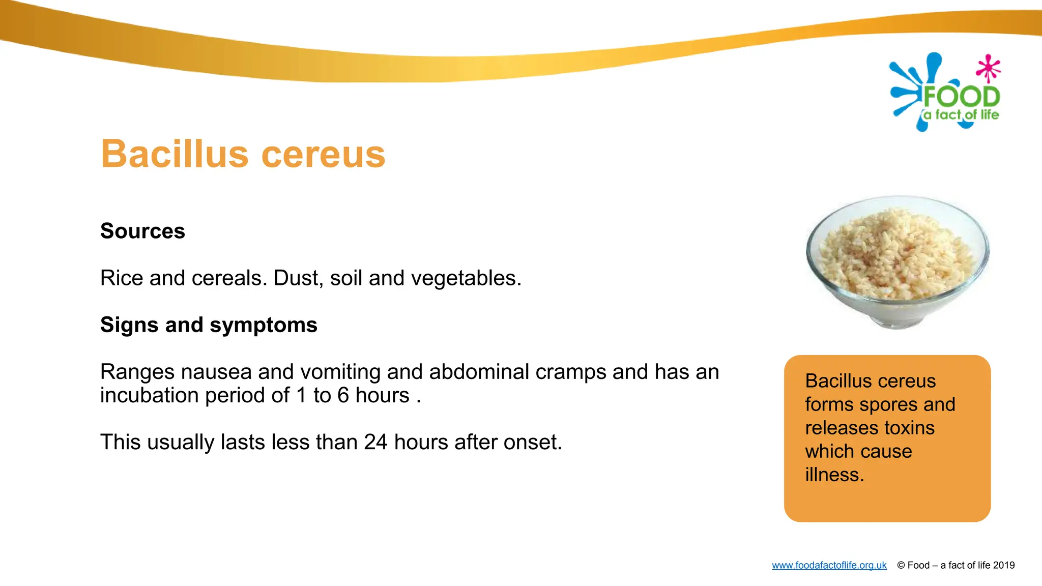 Food poisoning bacteria.pptx bacterial contamination causes most cases ...