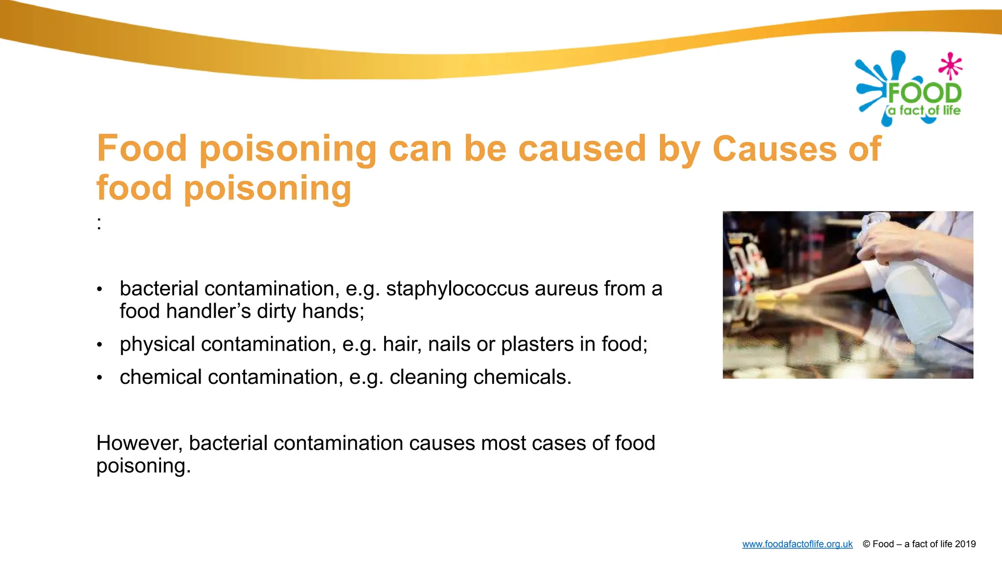 Food poisoning bacteria.pptx bacterial contamination causes most cases ...