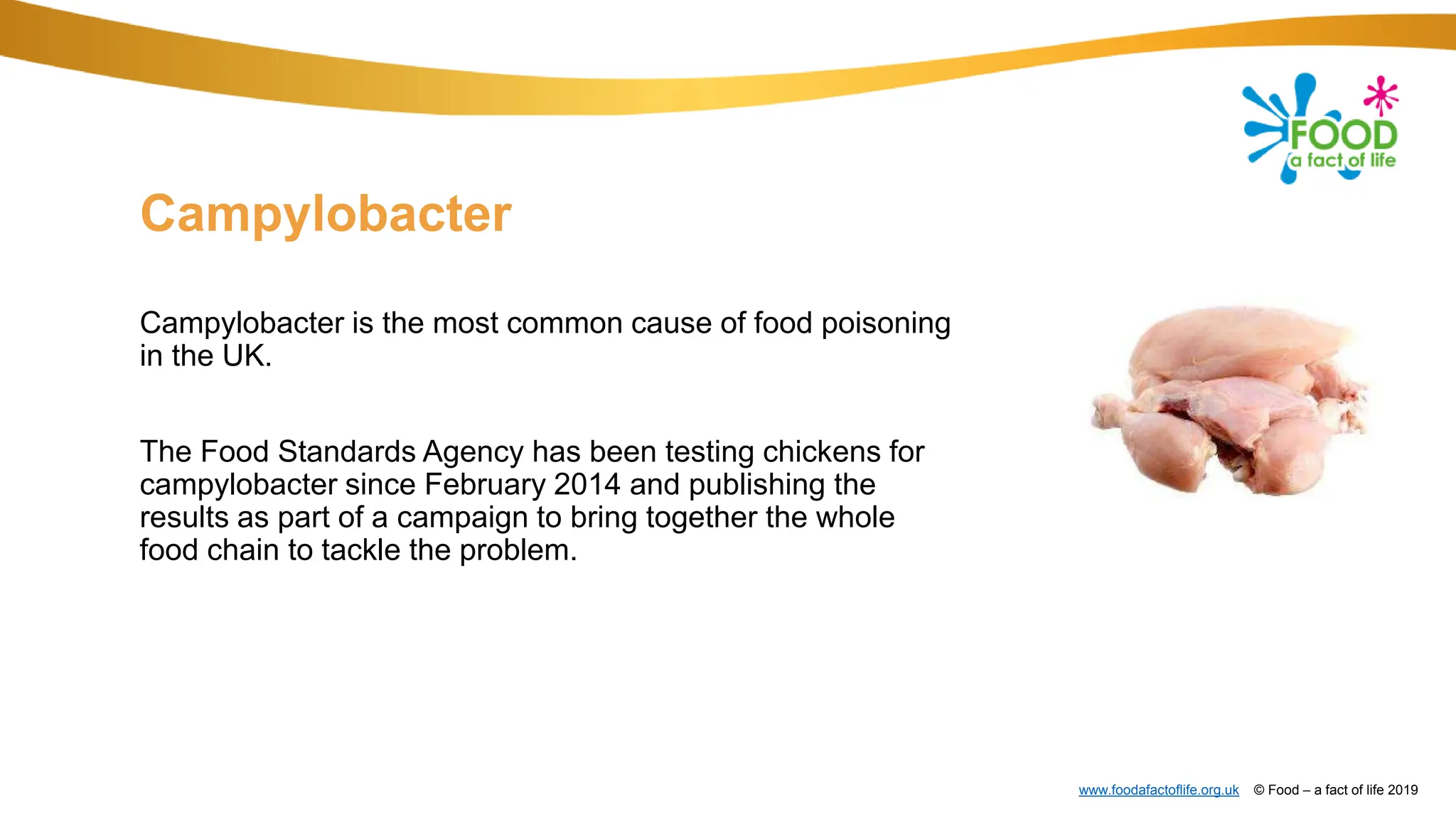 Food poisoning bacteria.pptx bacterial contamination causes most cases ...