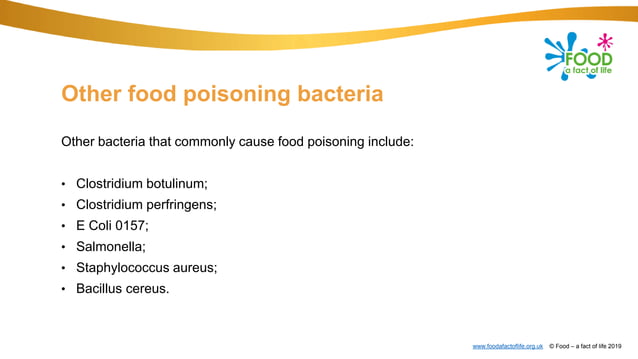 Food poisoning bacteria.pptx bacterial contamination causes most cases ...