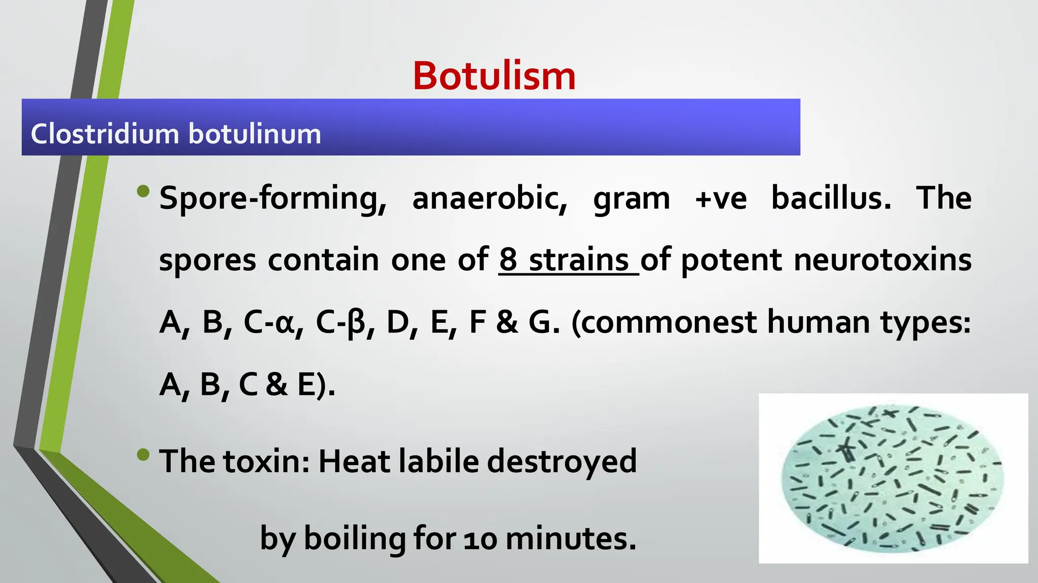 Food poisoning Botulism (1).pdf and pptx | PDF