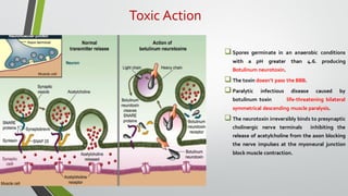 Food poisoning Botulism (1).pdf and pptx | PDF