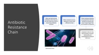 Food position: Antibiotic Use in Livestock | PPT