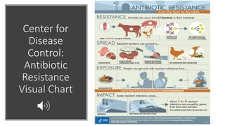 Food position: Antibiotic Use in Livestock | PPT