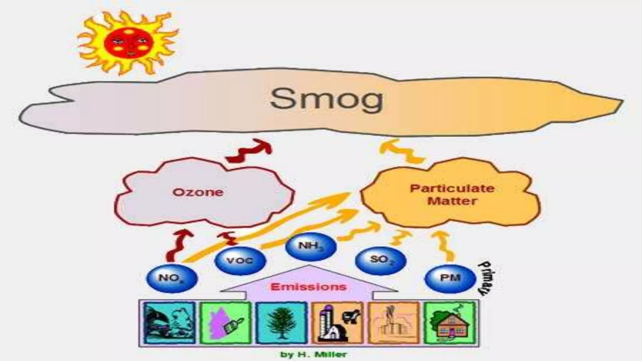smog effect on plant | PPTX