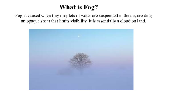 smog effect on plant | PPT