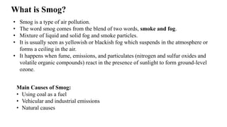 smog effect on plant | PPT
