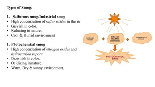smog effect on plant | PPT
