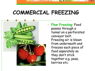 Food preservation commercial | PPT