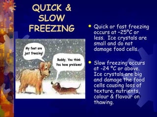 Food preservation freezing | PPT
