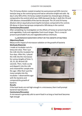 Food preservation methodology report | DOCX