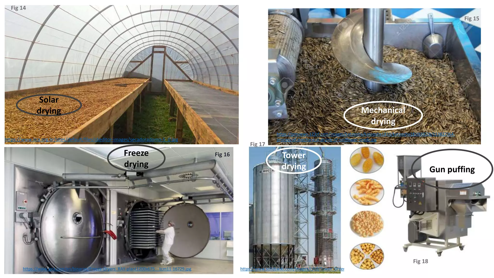 Food preservation and its types (Pushpita Saha) | PPT