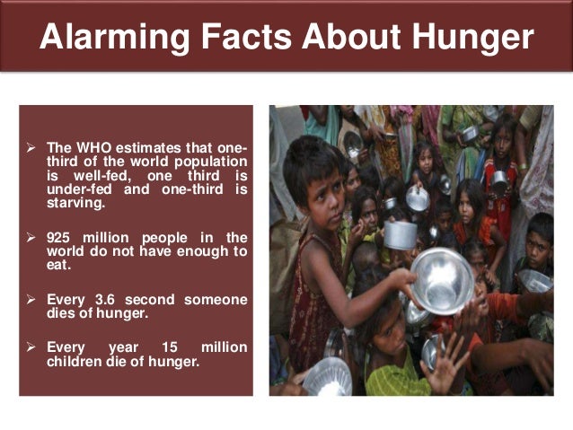 Food problems around the world