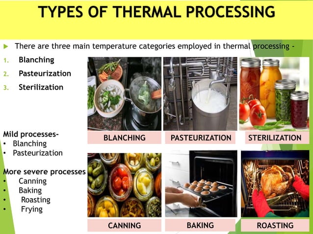 FOOD PROCESSING.pptx