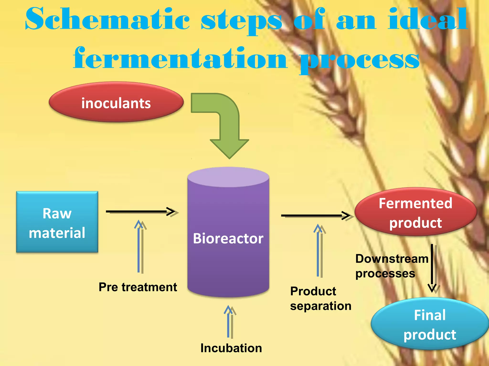 Food processing | PPT