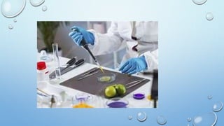 Food processing 9 SAMPLING PPT.pptx