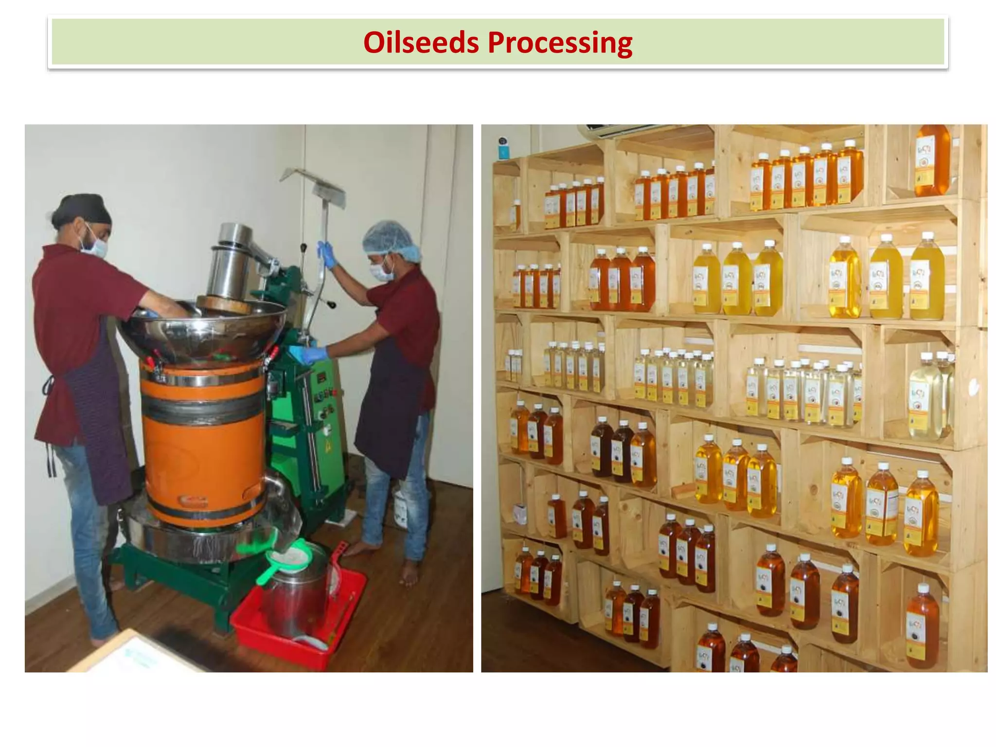Food processing plant layout design1 | PPTX