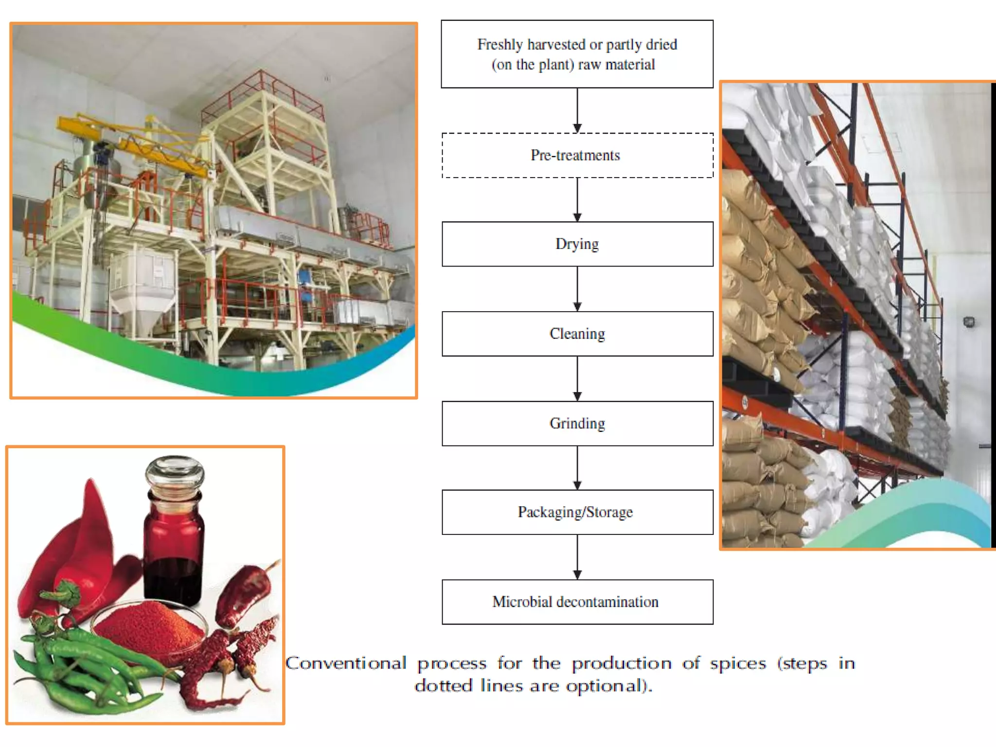 Food processing plant layout design1 | PPTX