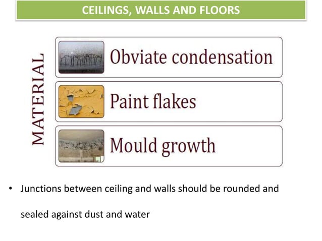 Food processing plant layout design1 | PPTX | Agriculture | Industries