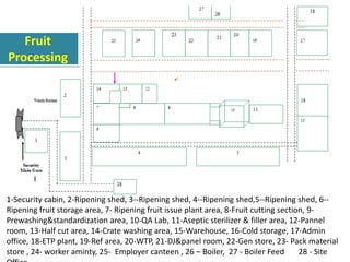 Food processing plant layout design1 | PPTX