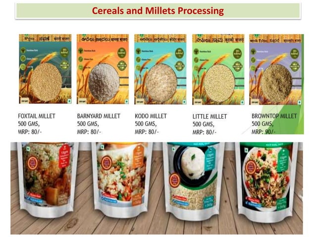 Food processing plant layout design1