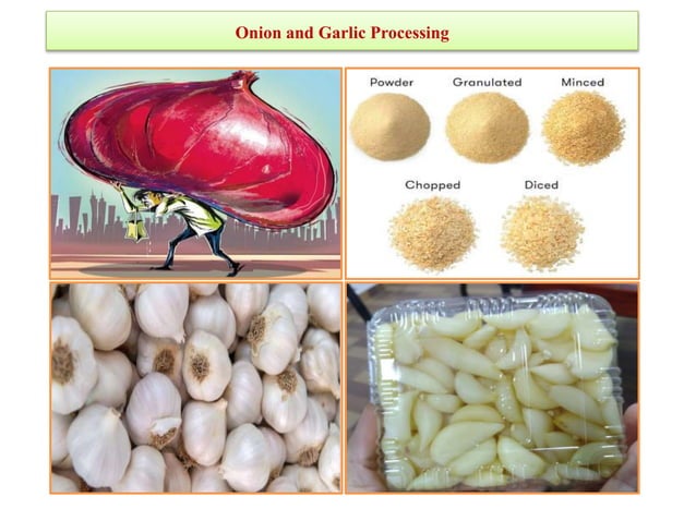 Food processing plant layout design1