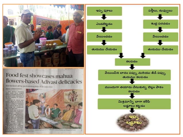 Food processing plant layout design1