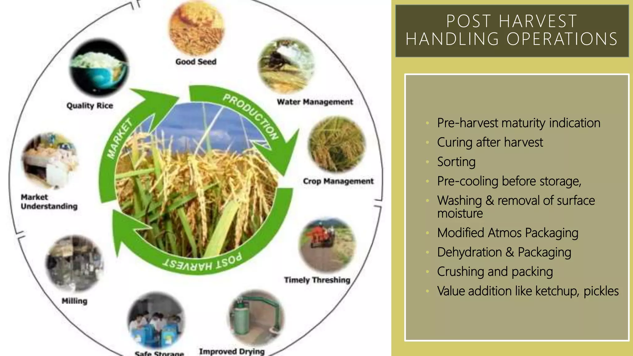 Food processing and post harvest technology | PPTX