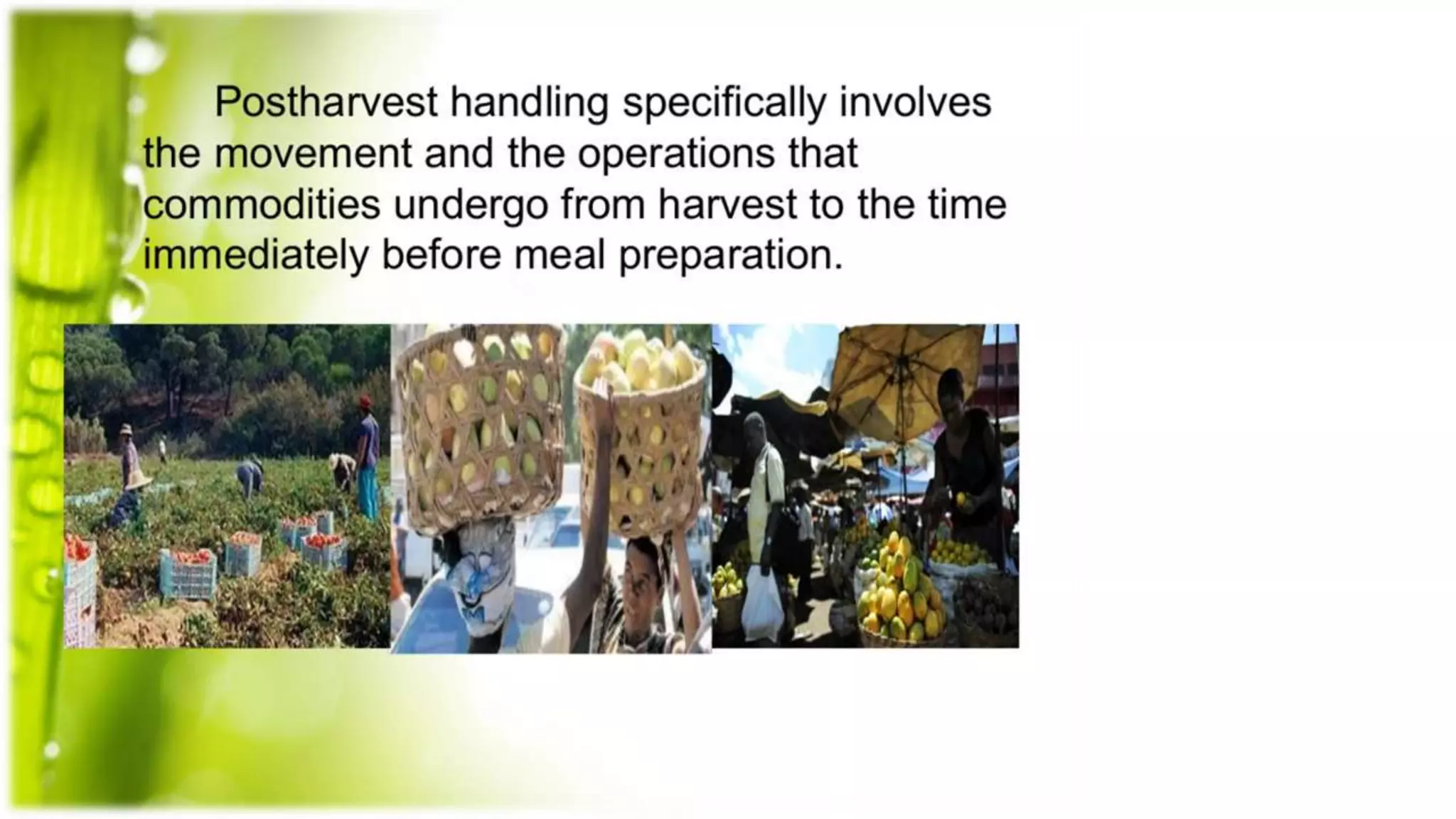 Food processing and post harvest technology | PPTX