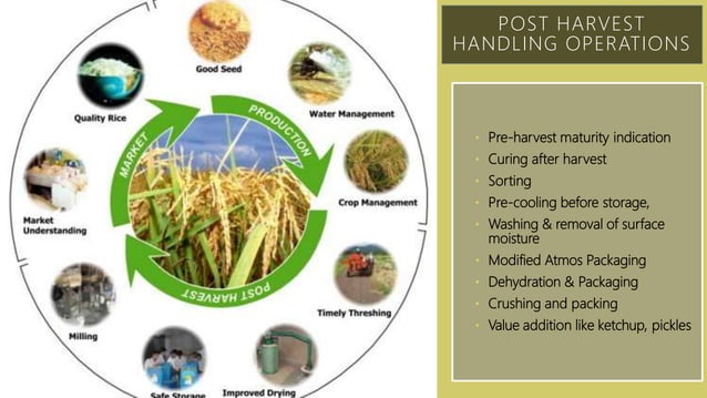Food processing and post harvest technology | PPTX | Agriculture ...