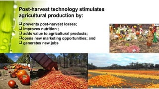 Food processing and post harvest technology | PPTX
