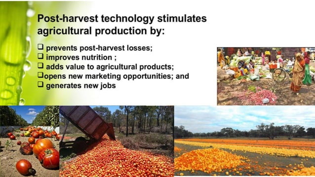 Food processing and post harvest technology | PPT
