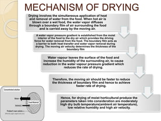 food processing ppt-anshika.pptx