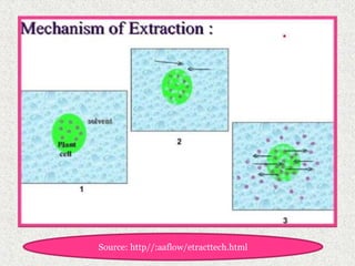 Food processing techniques- Extraction and Filtration | PPTX