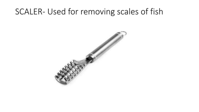 FOOD PROCESSING TOOLS WITH LABEL AND USES.pptx | Cooking | Food & Drink