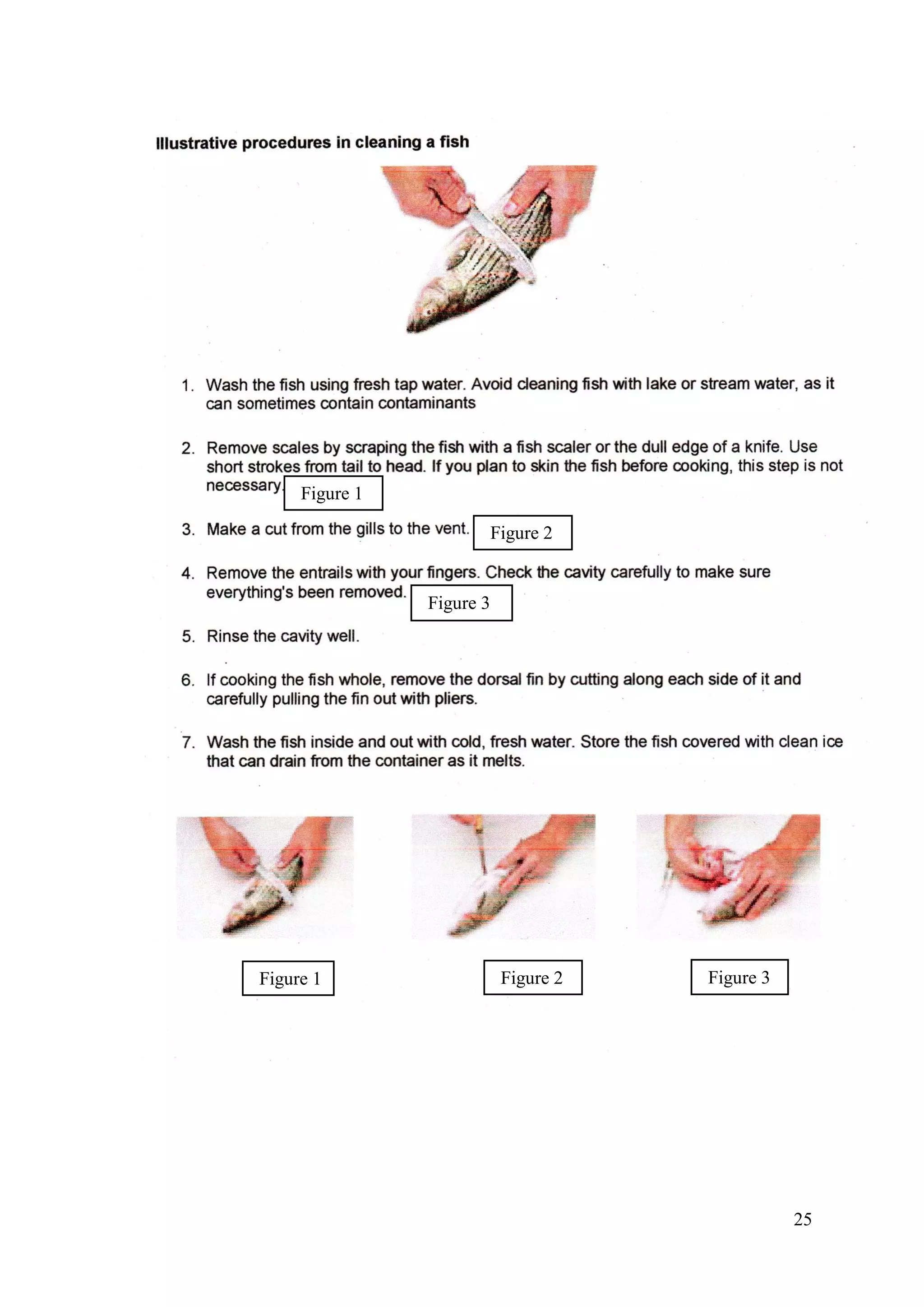 Food Processing Y2.pdf
