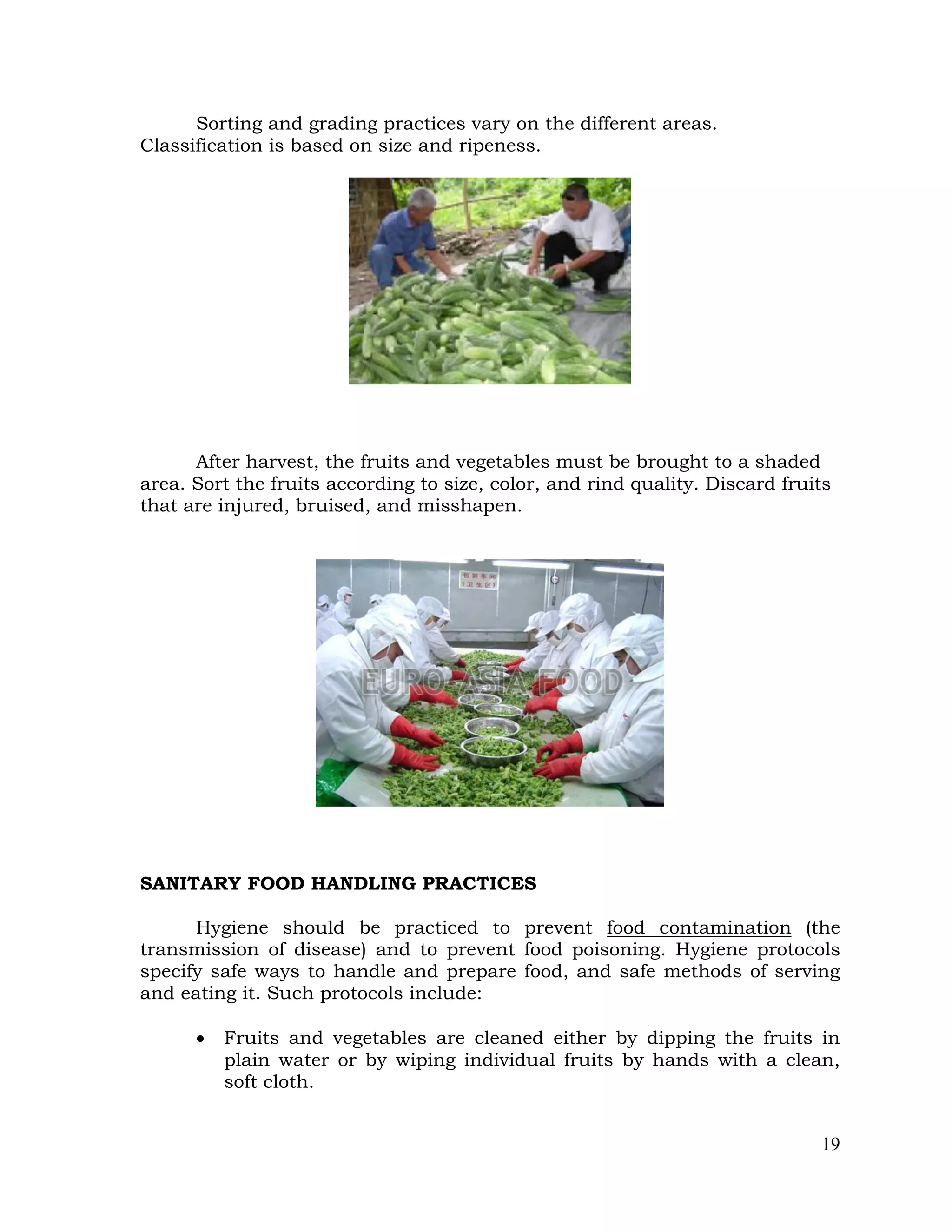 Food Processing Y3.pdf