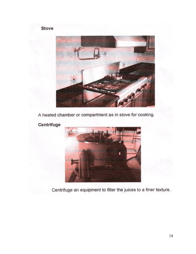 Food Processing Y4.pdf | Cooking | Food & Drink