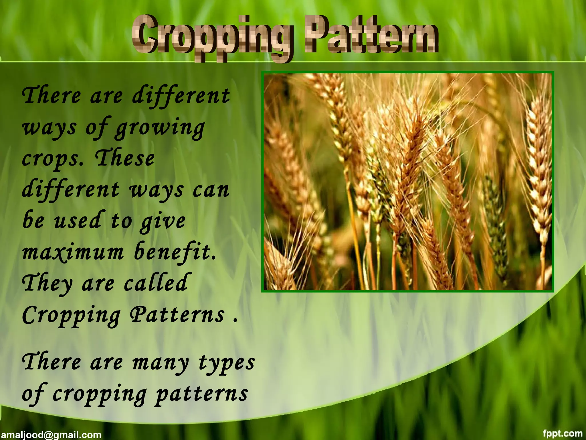 Cropping Pattern | PPT