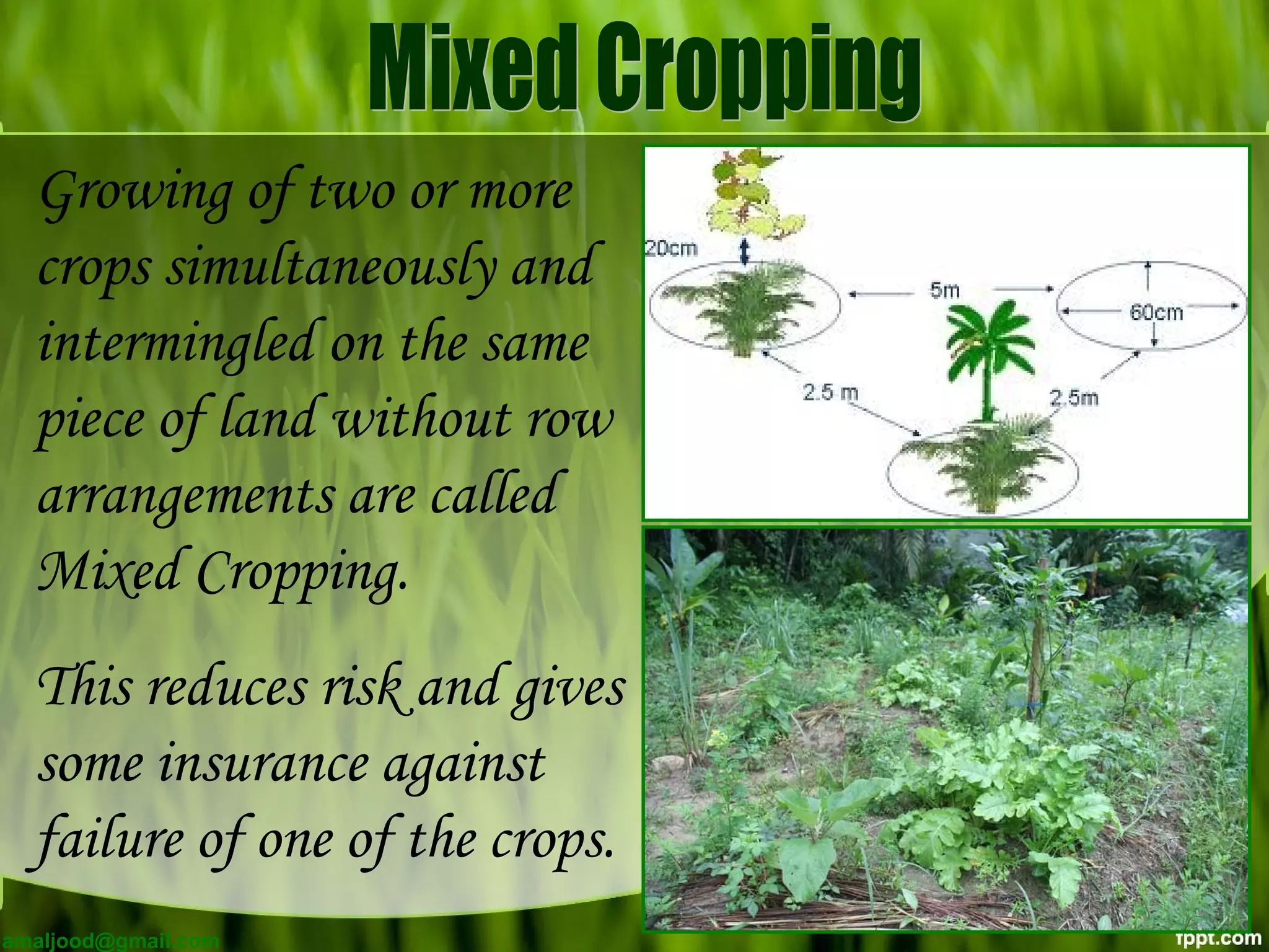 Cropping Pattern | PPT