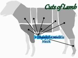 Wholesale Cuts Of Lamb