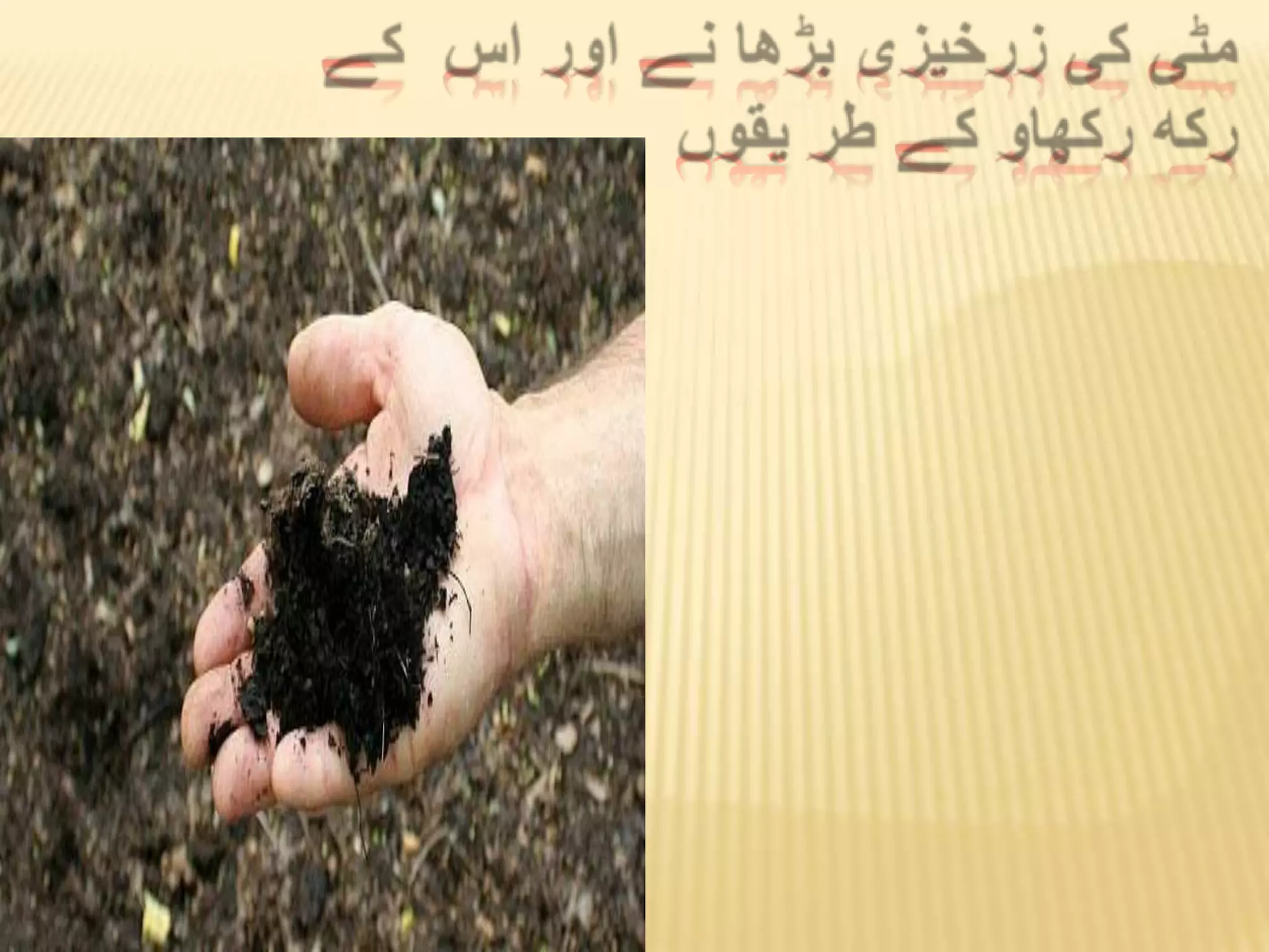 Food production by Nigahe Anjum | PPTX