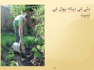 Food production by Nigahe Anjum | PPT