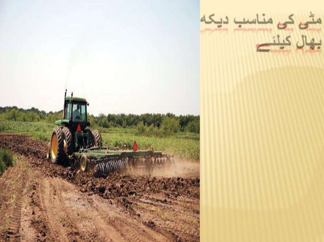 Food production by Nigahe Anjum | PPT