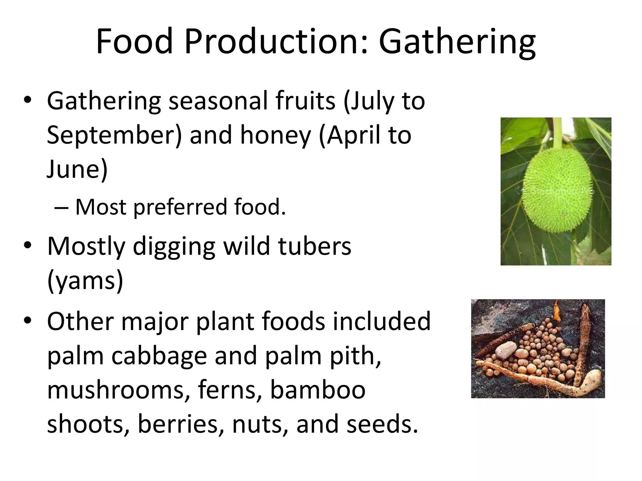 Food production presentation | PPTX