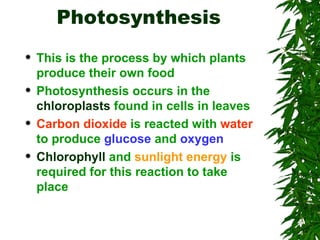 Food Production & The Environment | PPT