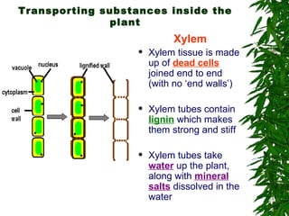 Food Production & The Environment | PPT